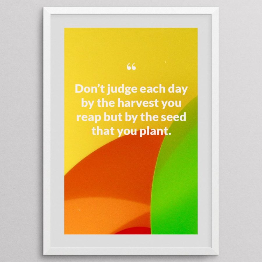 Don’t judge each day by the harvest you reap but by the seed that you ...