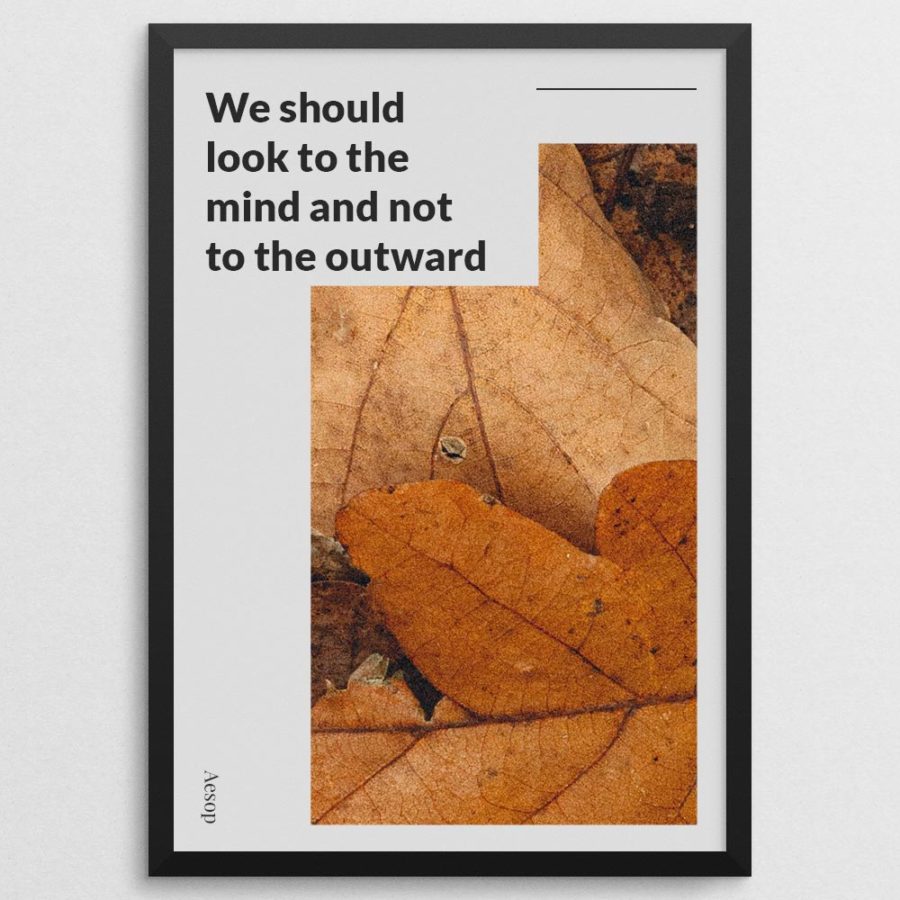 We should look to the mind and not to the outward appearance - Quote ...