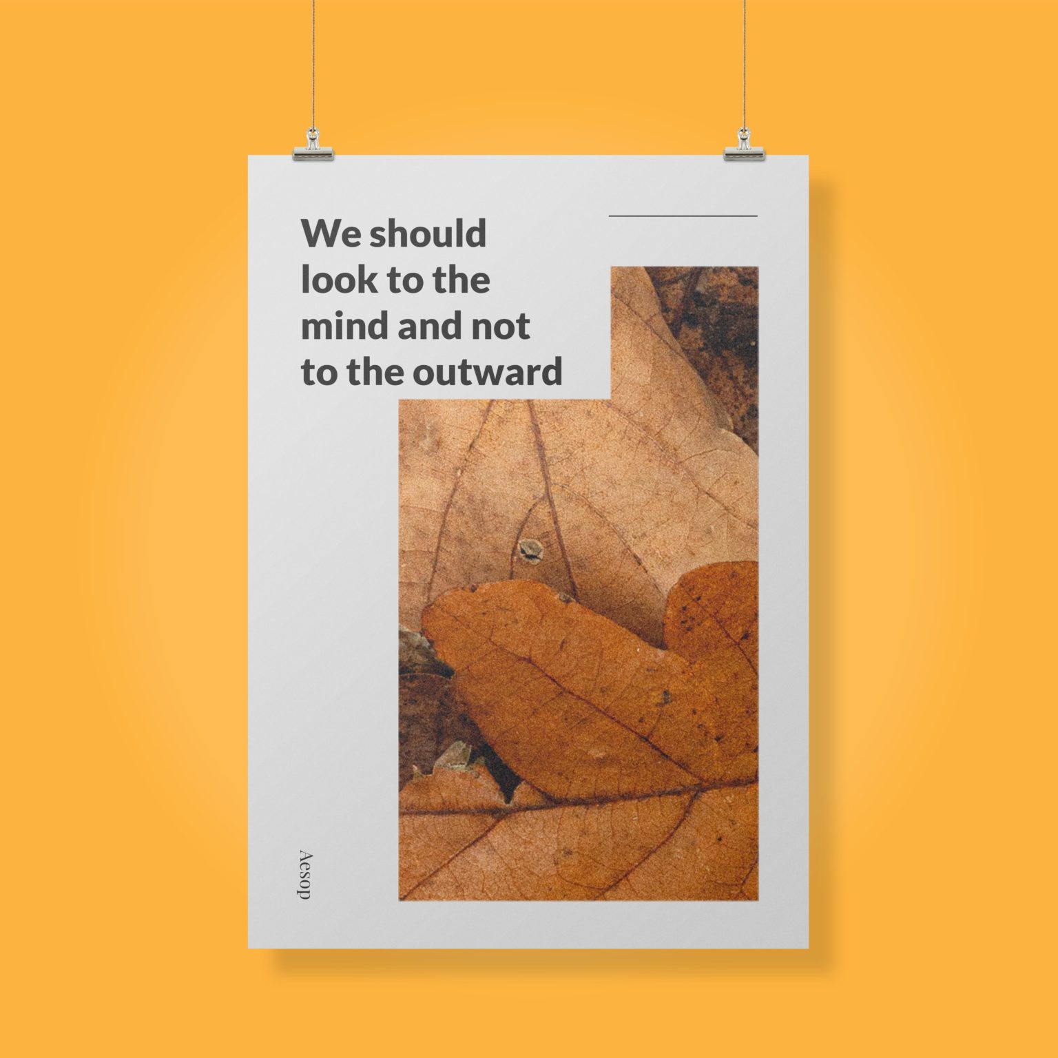 We should look to the mind and not to the outward appearance - Quote ...