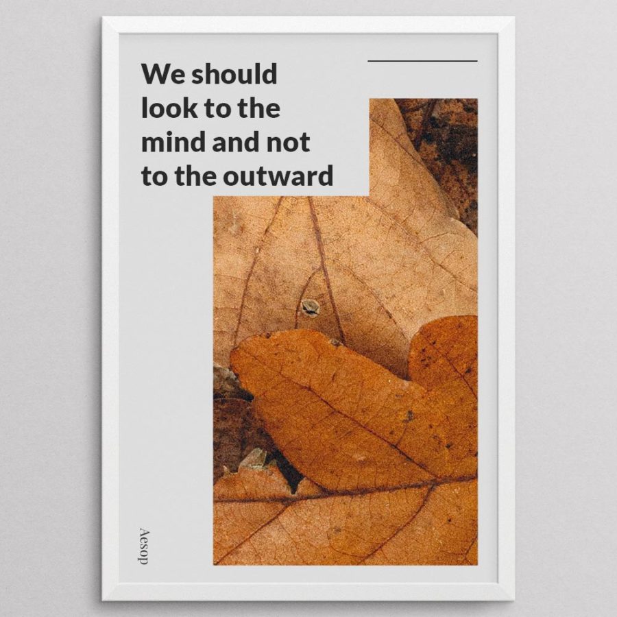 We should look to the mind and not to the outward appearance - Quote ...