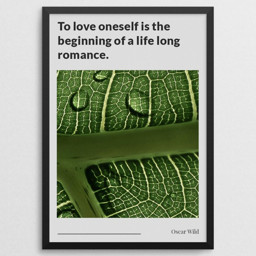 To love oneself is the beginning of a life long romance - Quote Art ...