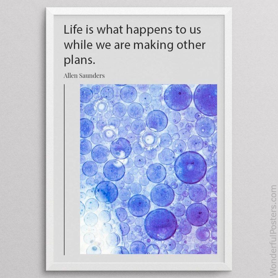 Misattributed-john-lennon Archives - Wonderful Posters